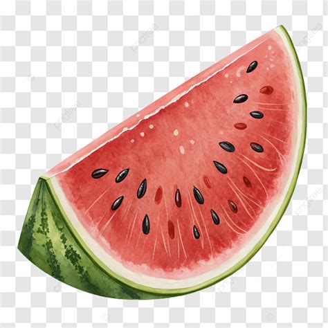 밝은 붉은 살과 씨앗이있는 3d 수박 슬라이스 현실적 수박 조각 밝은 붉은 살 씨앗 과일 달콤한 Png 일러스트 및 이미지