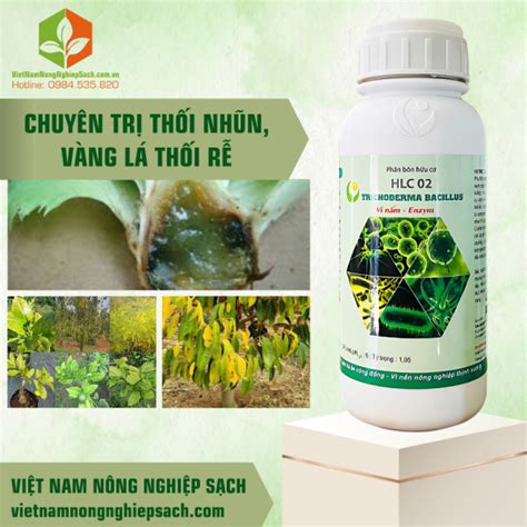 Trichoderma Bacillus ChẾ PhẨm Sinh HỌc DiỆt NẤm