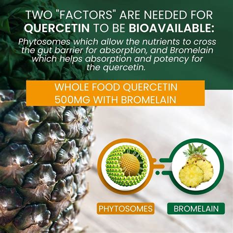 Organic Quercetin 500mg With Bromelain Supplement Bioactive Phytosome Complex For Healthy