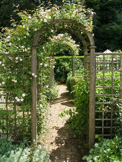 20 Trellis For Privacy Ideas