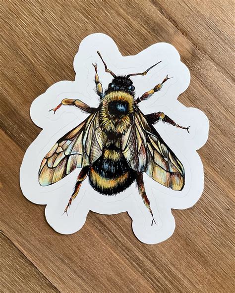 Bumble Bee Drawing