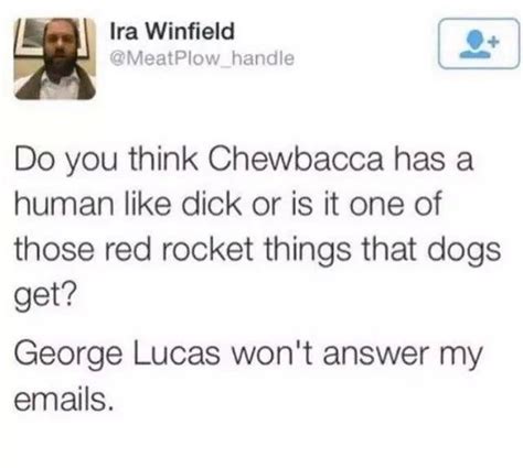 Rocket Irl R Furry Irl