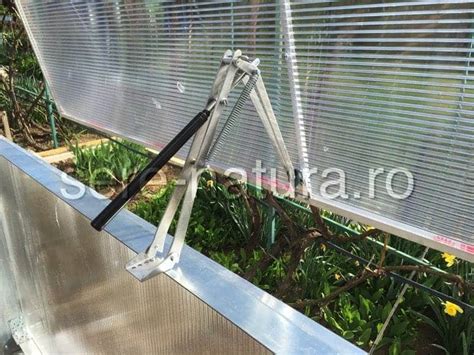 Sera Cernica Sere Naturaro Sere Si Solarii Profesionale