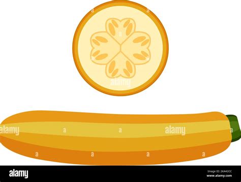 Vegetable Marrow And Vegetable Marrow Slices Healthy And Delicious