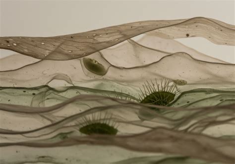 Operational Rigor → Term