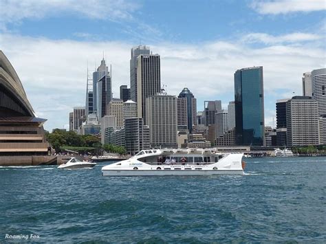 A Snapshot Travel Guide Of Sydney — Roaming Fox Travel Blogger And
