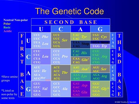 Ppt Protein Structure Powerpoint Presentation Free Download Id 5710815