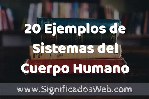 20 Ejemplos De Sistemas Del Cuerpo Humano ️ Tipos Definición Y Análisis
