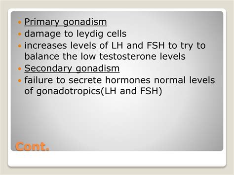 Ppt Testis Powerpoint Presentation Free Download Id2495164