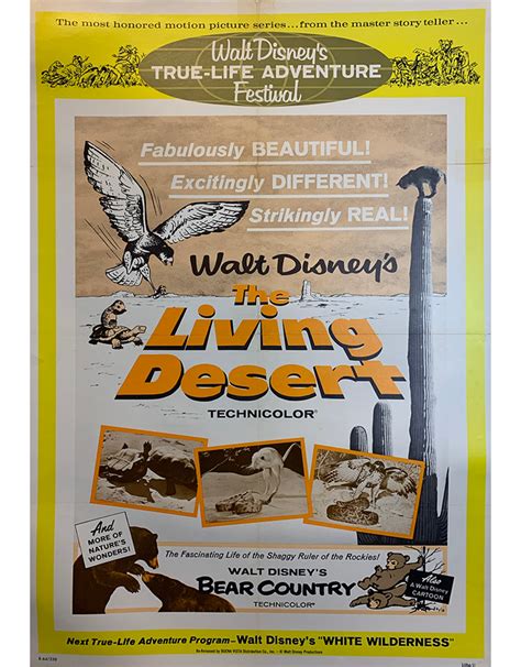 Walt Disneys The Living Desert 1953 South Pointe Vintage