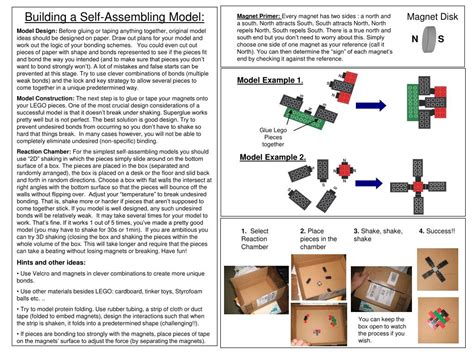 Ppt Exploring Self Assembly Natures Building Secrets Unveiled