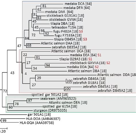 Schematic Presentation Of The Human Hla A2 Peptide Binding Groove