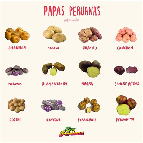 Papas Peruanas Peruvian Potatoes Rperu