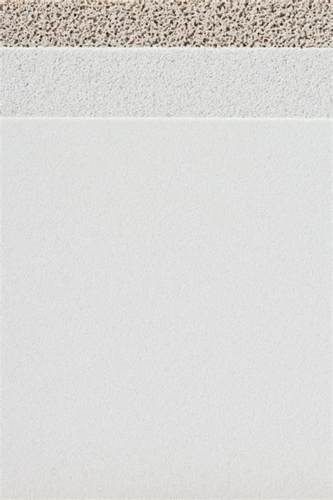 Sonogamma Baswa Phon