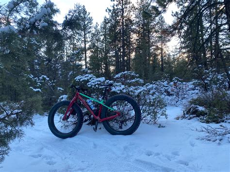 Steve Langenderfer Slangcim Cim