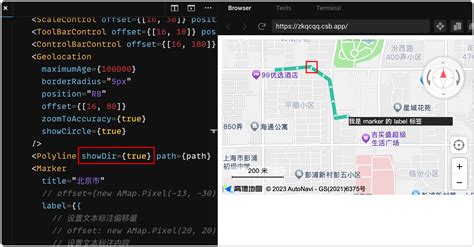 PolyLine组件使用showDir true后不显示方向 Issue uiwjs react amap GitHub