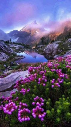 Free Spring Screensavers Bing Images Beautiful Nature National