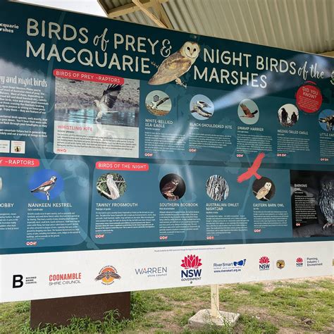 Alex Trevallion Park Walgett All You Need To Know Before You Go