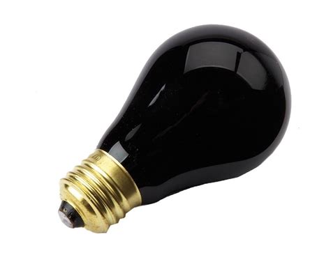 75w Blacklight Light Bulb Black 3 In Indoor Outdoor Decoration For