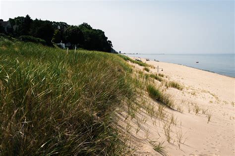 Dune And Beach Grass Installation Services West Mi And Northern Mi