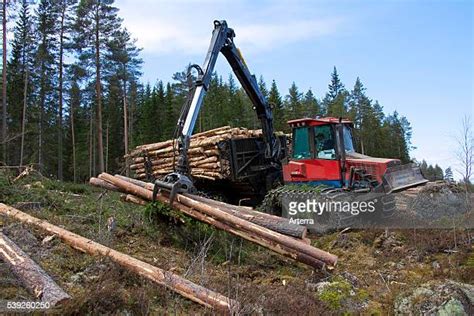 Wood Cutter Machine Photos And Premium High Res Pictures Getty Images