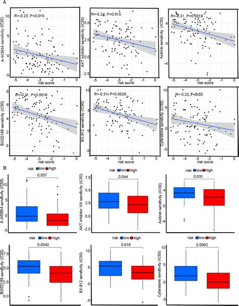 Comparison Of Drug Sensitivity Between High And Low Risk Subgroups A