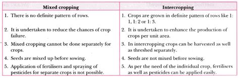 How Is Intercropping Different From Mixed Cropping Cbse Class 9