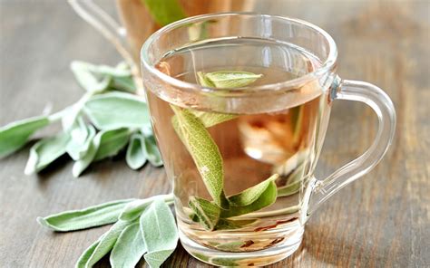 Does Fluoride Damage Your Brain Function Cnm College Of Naturopathic