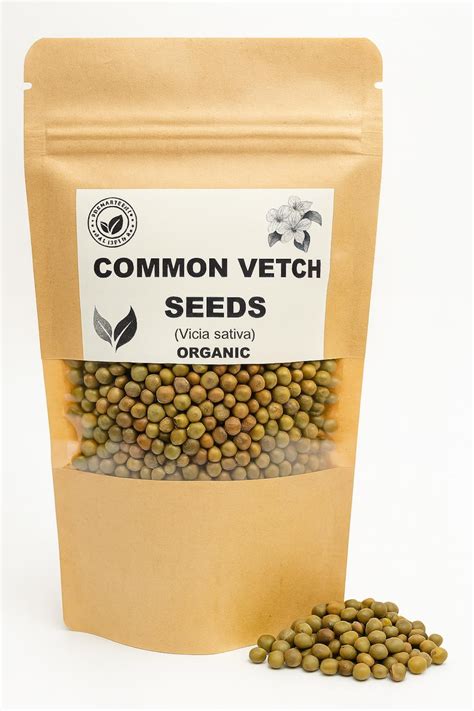 Common Vetch Seeds Vicia Sativa Vetch Seeds Tea Garden Vetch