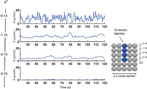 Time Series Observations Of Solute Concentrations For An Injection At Download Scientific