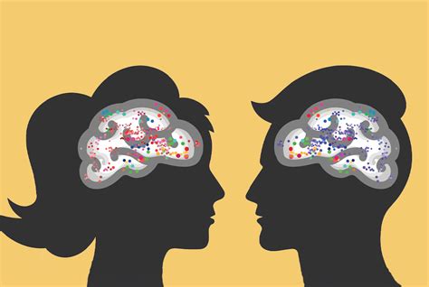 Early Brain Differences May Explain Sex Specific Risks For Addiction