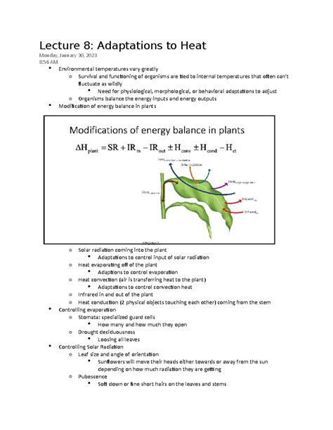 Bio 213 Lecture 8 These Are Notes From Kevin Pangles Lecture 8 Adaptations To Heat Slides