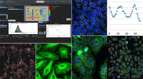 Thrive Bioscience Launches Innovative Live Cell Imaging Software For