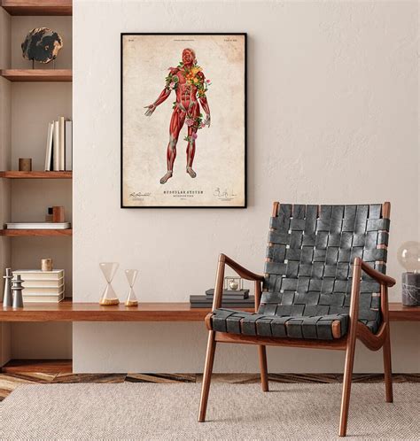 Muscles Anatomy Art Codex Anatomicus