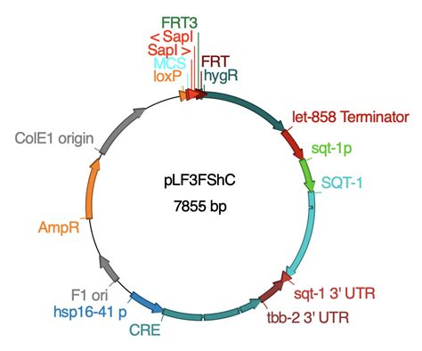 Rmce Integration Nonet Lab Washington University In St Louis