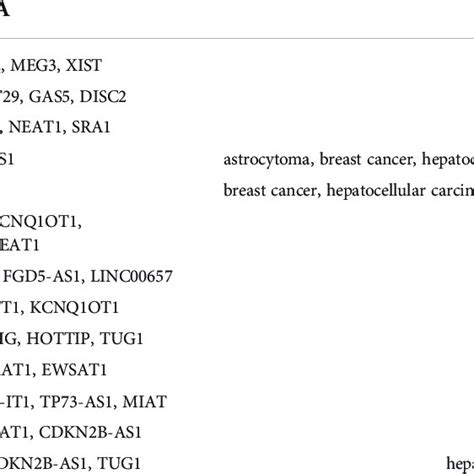 The Top 5 Lncrna Disease Associations That Have Been Successfully Download Scientific Diagram