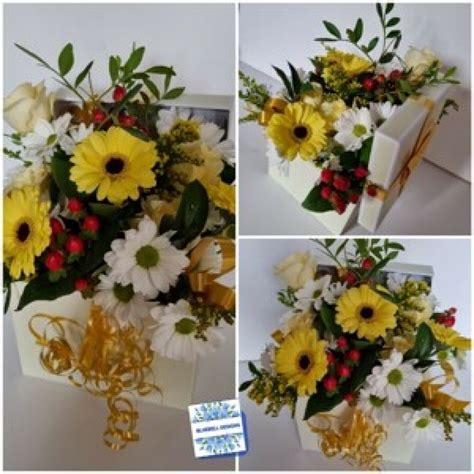 T Boxes Bluebell Design