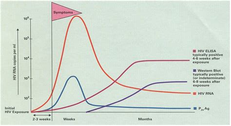Acute Seroconversion Of Hiv Infection In The Ambulatory Care The