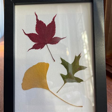 Pressed Leaf Art Etsy