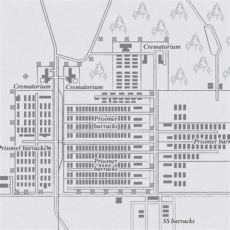 Artistic Maps Of Auschwitz For Publishers Harper Collins Lovell Johns