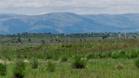 Dalmacio Evi Desarrollos