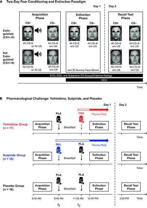 Experimental Fear Conditioning And Extinction Paradigm Used In The