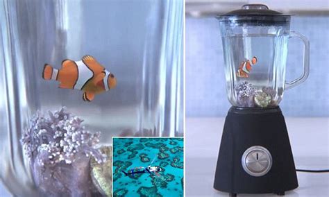 Squid Inking Finding Nemo