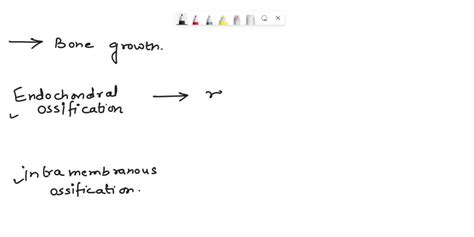 Solved Texts Human Anatomy And Physiology Mail Reina Bone Collar