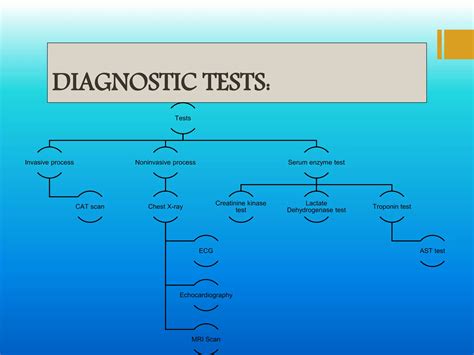 Cardiac Function Test Pptx