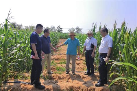 李建生教授到国家南繁现代展示园指导工作