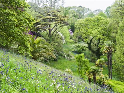 Gardens In Cornwall The Nare Hotel