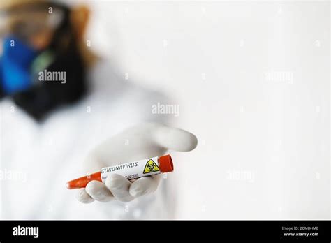 A Scientist Researcher In The Laboratory Is Testing Drugs For Treatment Of Viral Pneumonia