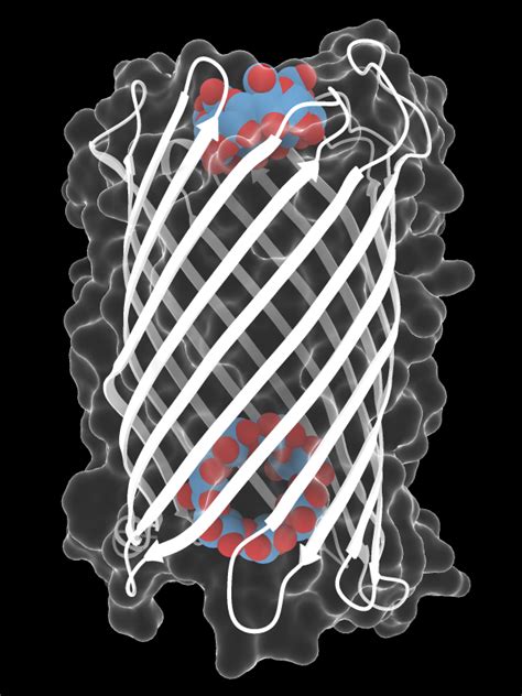 Ucsf Chimerax Example Images Ucsf Chimerax Example Images