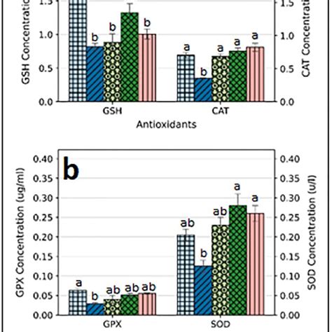 Effect Of Essential Trace Elements On The Antioxidant Profile In The